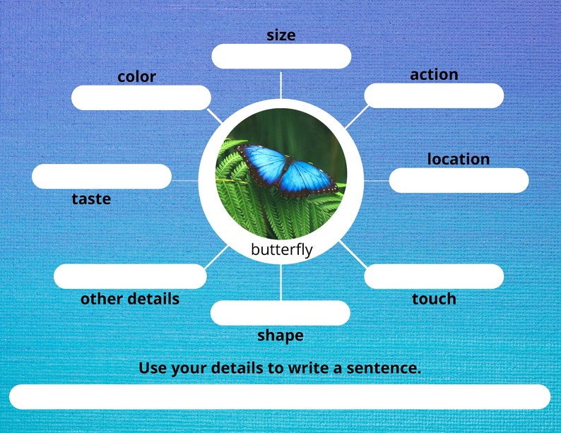 Printable Descriptive Writing Worksheets: Photo Word Webs (PDF Pattern ...
