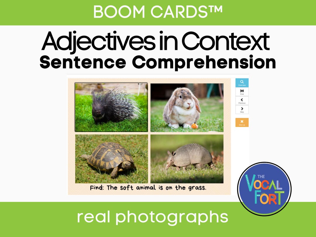 Adjectives in Context Boom Cards™ | Sentence Comprehension With Real ...