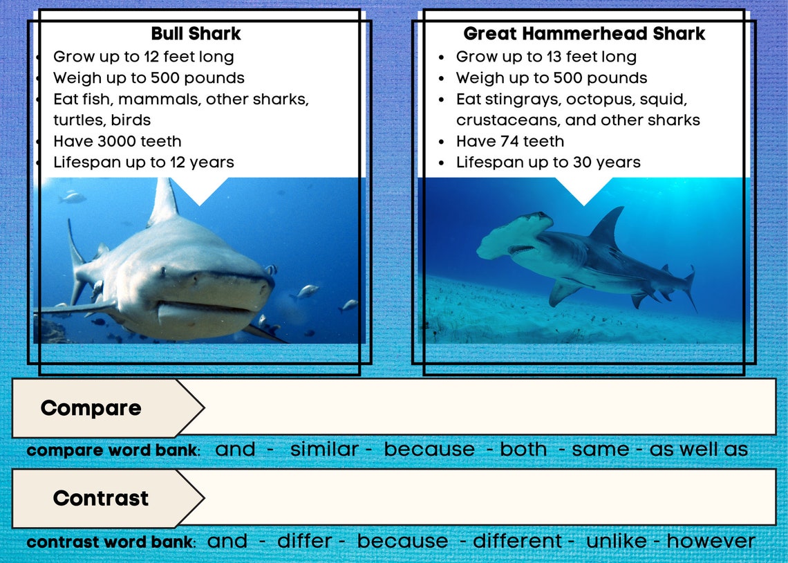 Compare and Contrast Animals Sentence Writing Boom Cards - Etsy