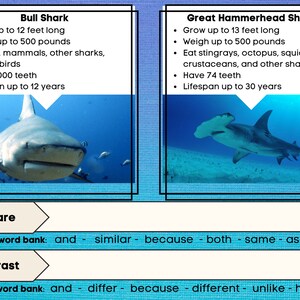 Compare and Contrast Animals Sentence Writing Boom Cards - Etsy