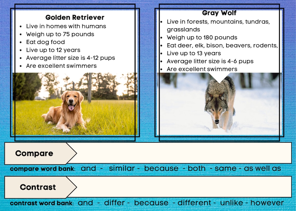 Compare and Contrast Animals Sentence Writing Boom Cards - Etsy