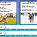 Compare and Contrast Animals Sentence Writing Boom Cards - Etsy