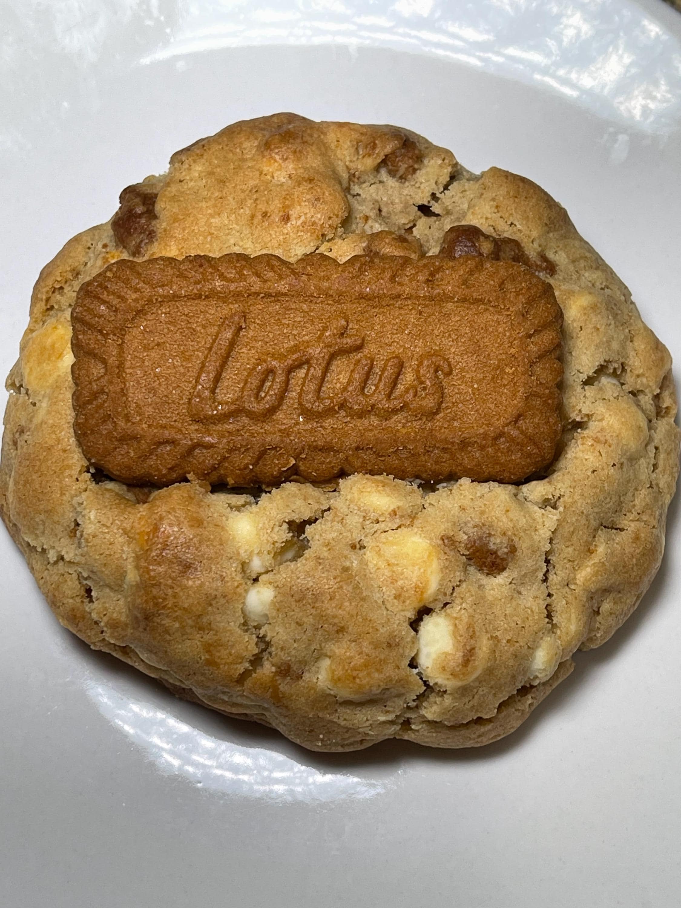 Giant Gourmet Lotus Biscoff Cookie: New York Style Vanilla Chocolate ...