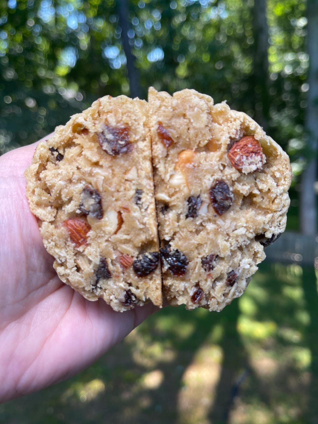 Giant Vanilla Cookie: Gourmet Oats, Raisins, Almonds - Etsy