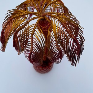 This is a Flaming Wire Palm Tree. This Tree Will Look Great Just About ...