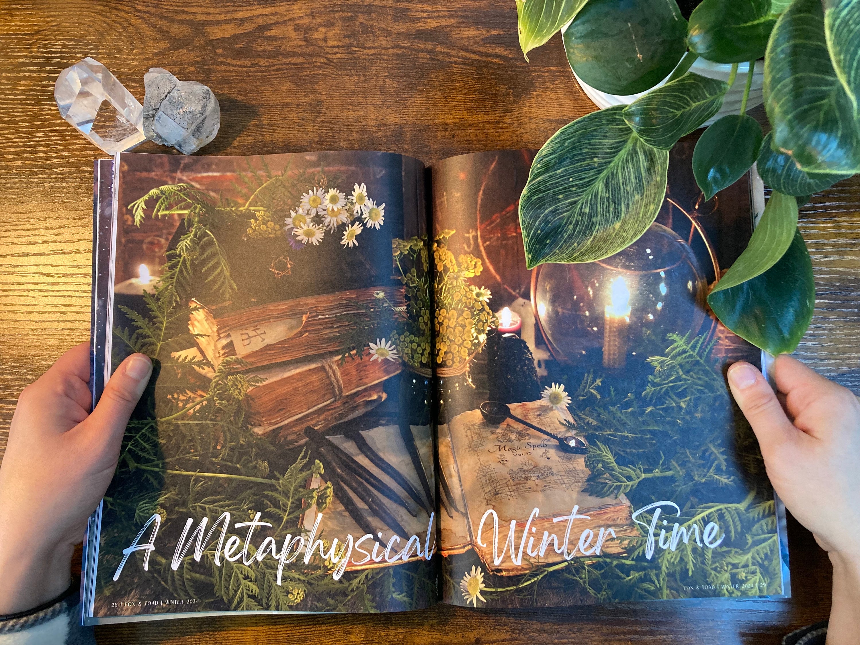 PHYSICAL COPY Fox & Toad Magazine: Winter 2024 - Etsy