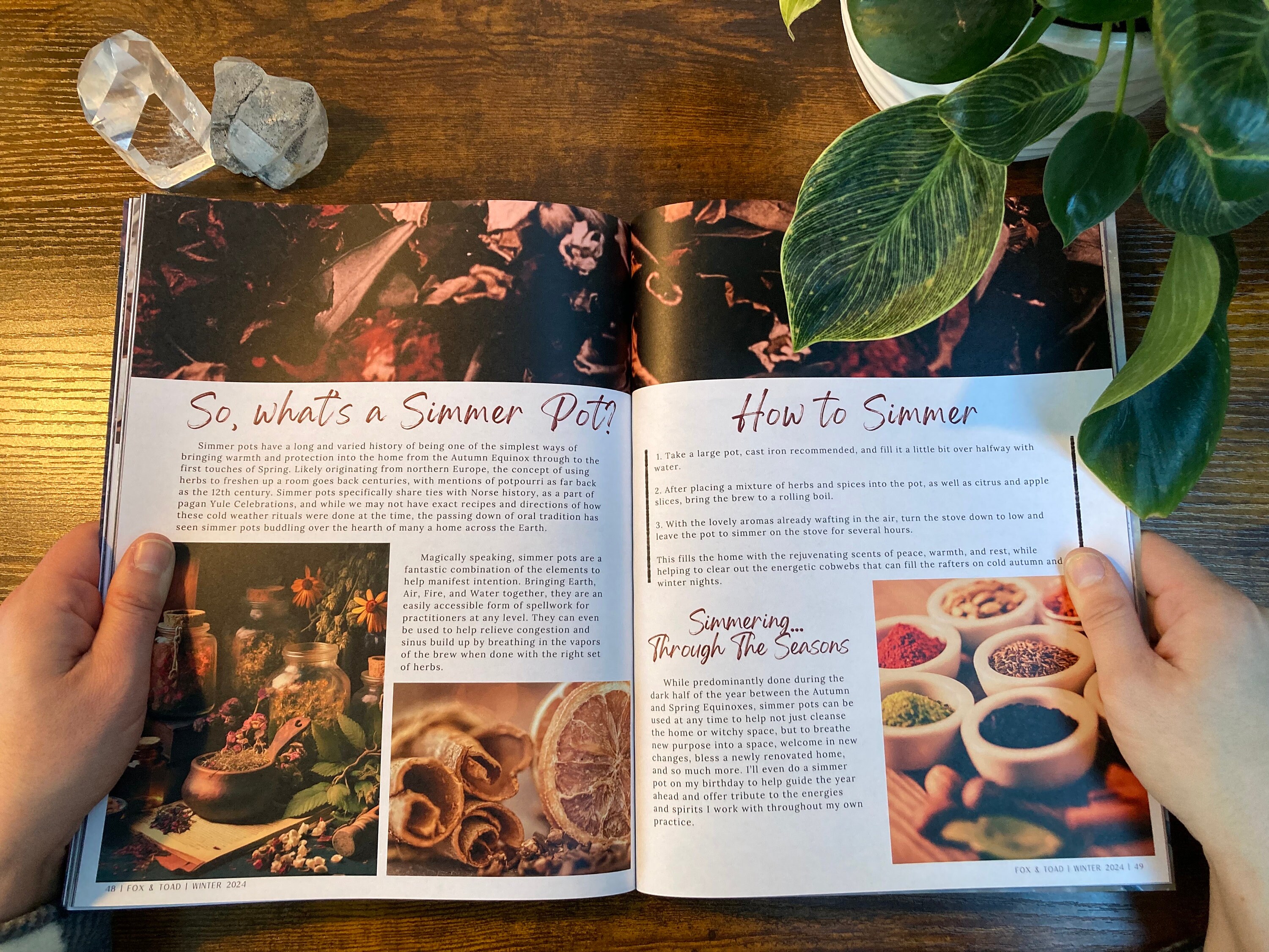 PHYSICAL COPY Fox & Toad Magazine: Winter 2024 - Etsy