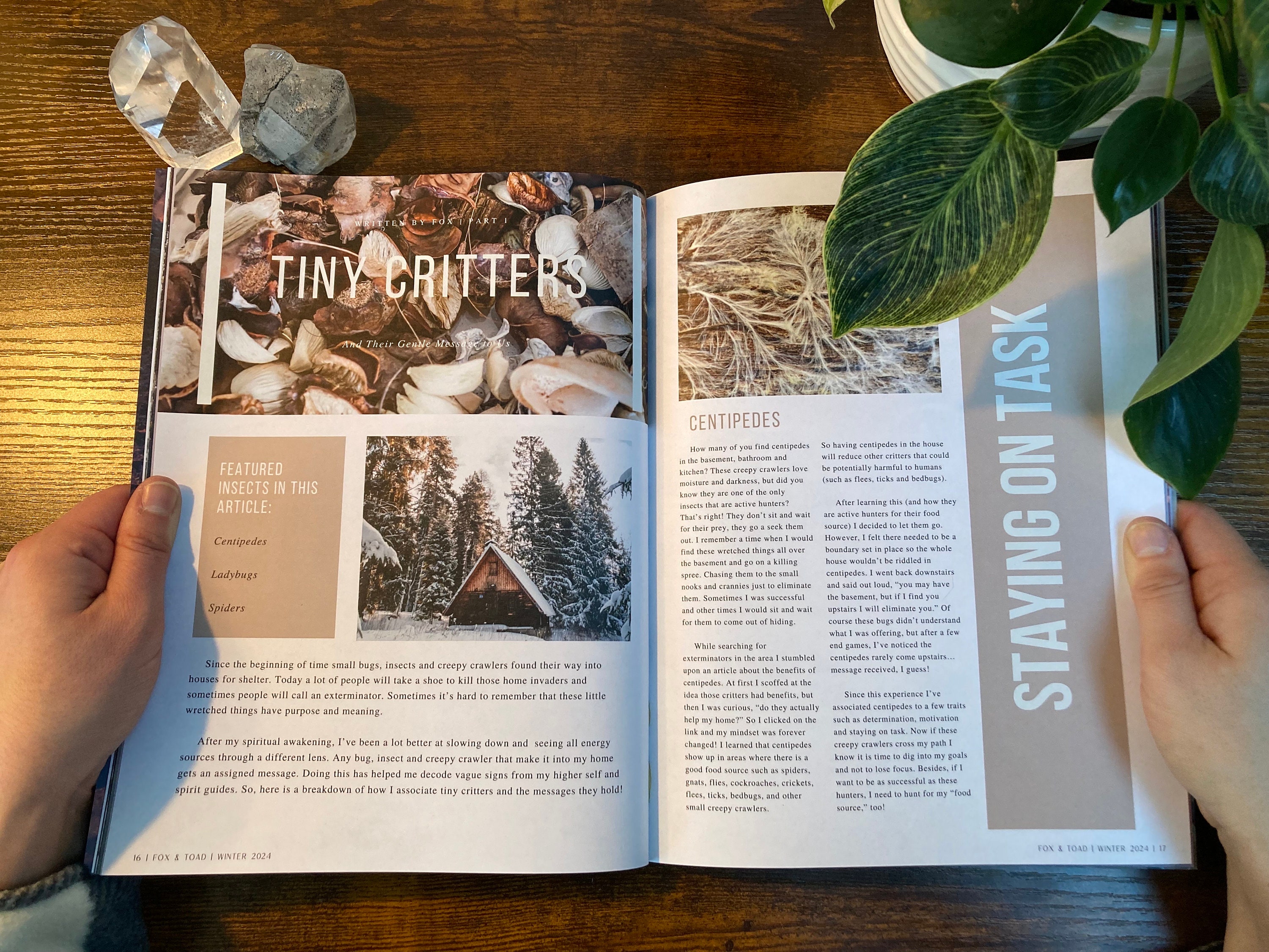 PHYSICAL COPY Fox & Toad Magazine: Winter 2024 - Etsy