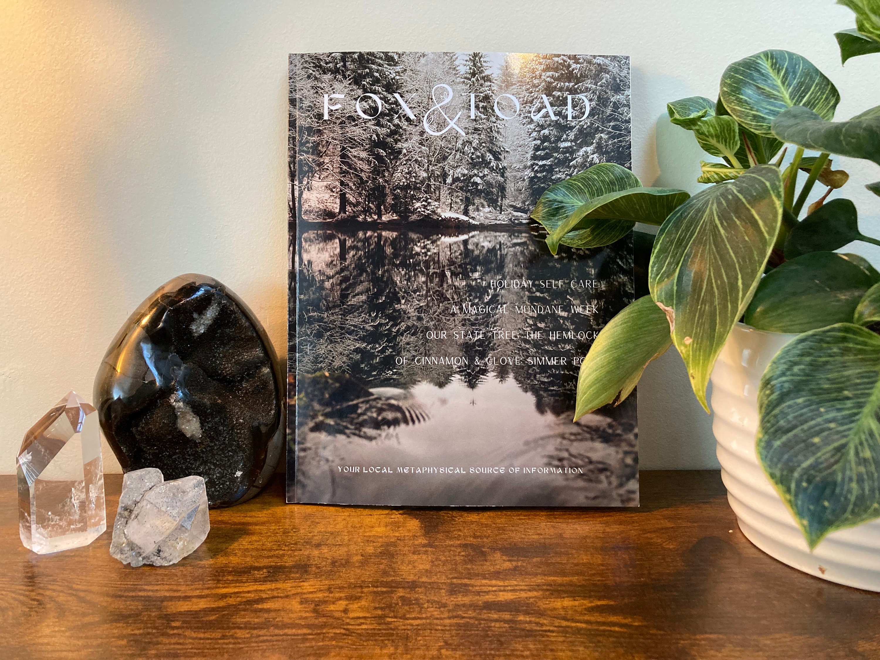 PHYSICAL COPY Fox & Toad Magazine: Winter 2024 - Etsy