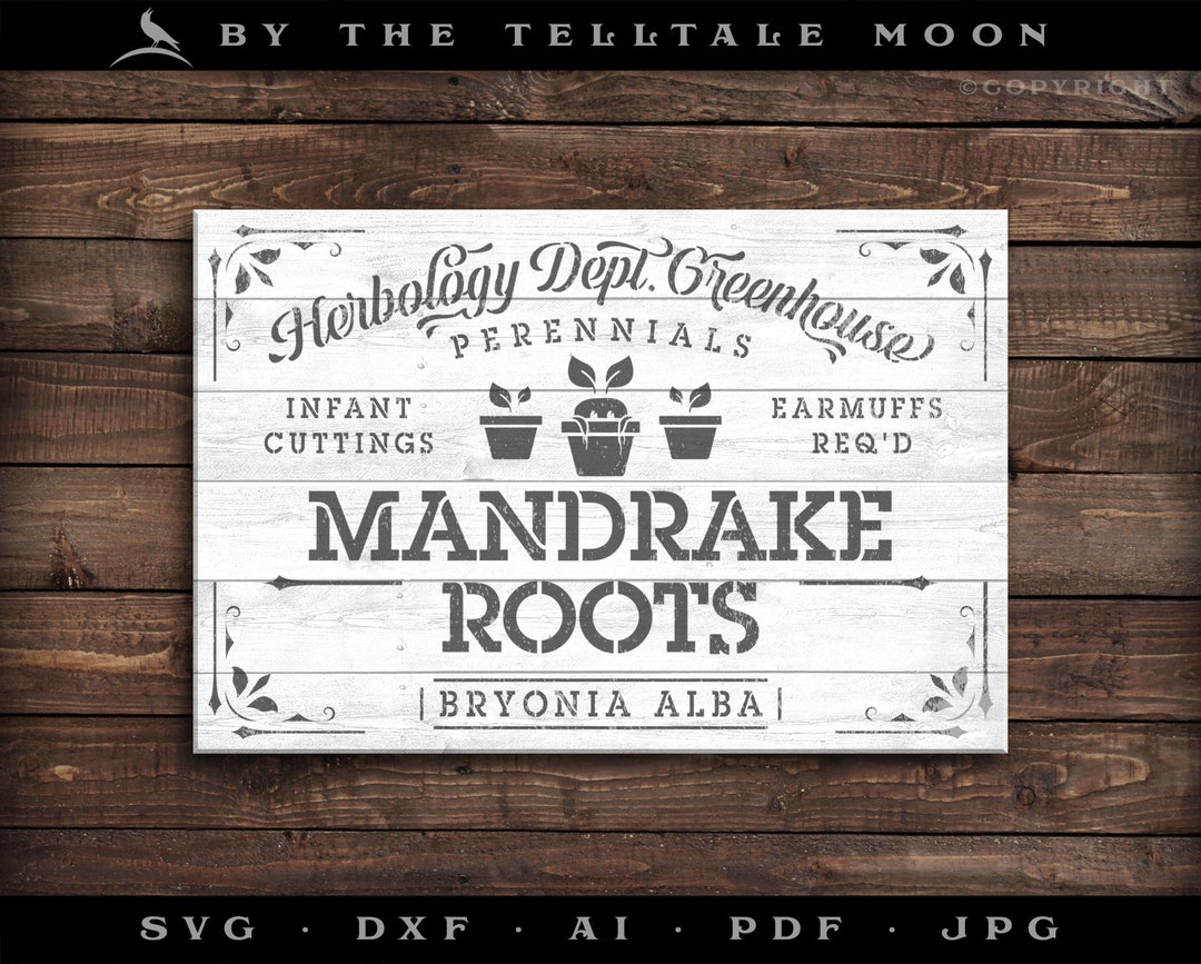 Stencil Art: mandrake Roots in Digital Format for Download SVG, PDF ...