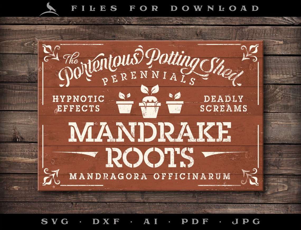 Stencil Art: mandrake Roots in Digital Format for - Etsy