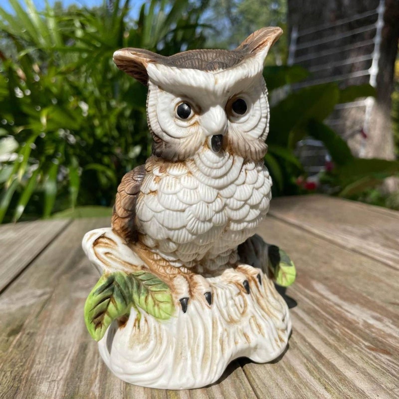 Owl Music Box - Etsy