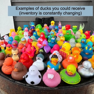 Cruise Ducks Cruising Tag Custom Souvenir Family Gift for Cruiser ...