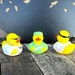 Doctor Ducks Doctor Duck Surgeon Duck Pharmacist Duck Medical Doctor ...
