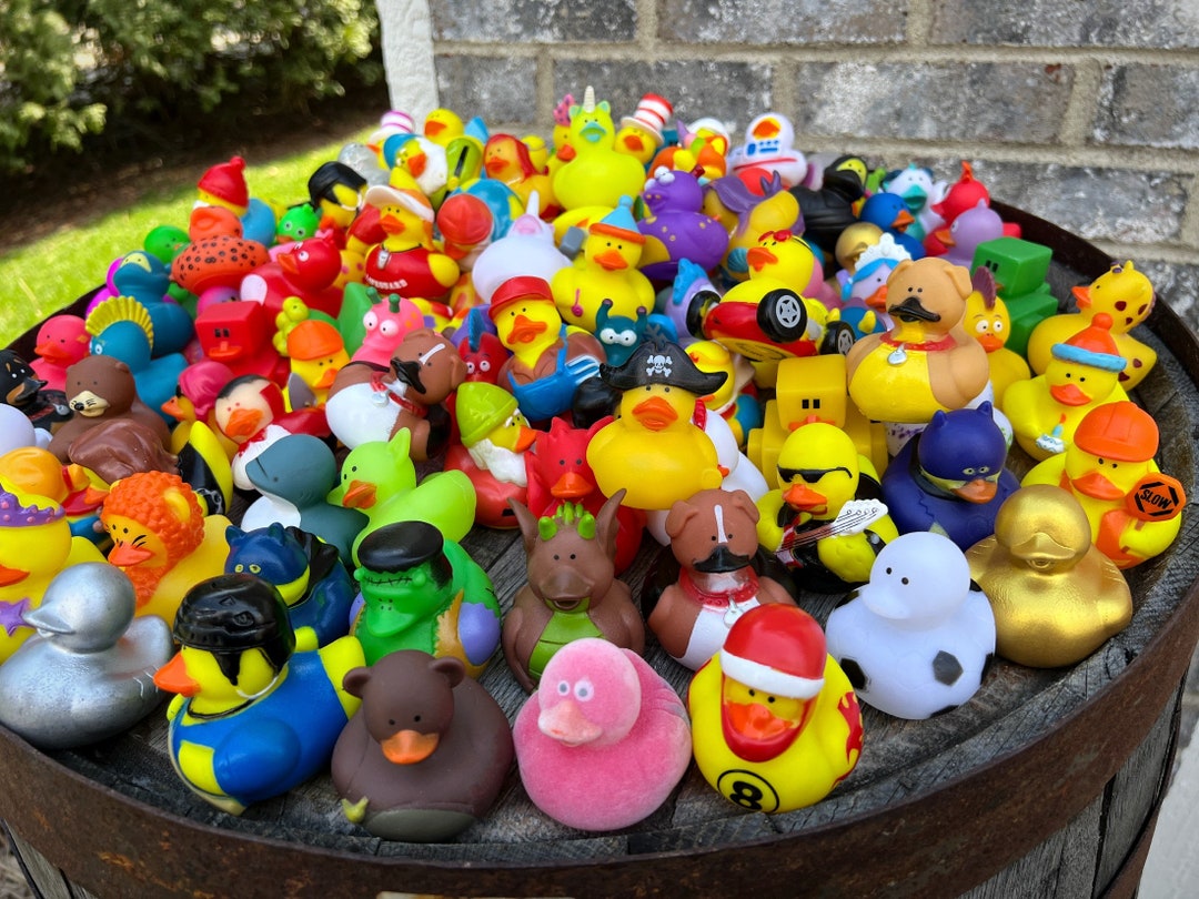 Bulk Rubber Ducks Bulk Rubber Duck Bulk Ducks for Ducking Bulk Duck for ...
