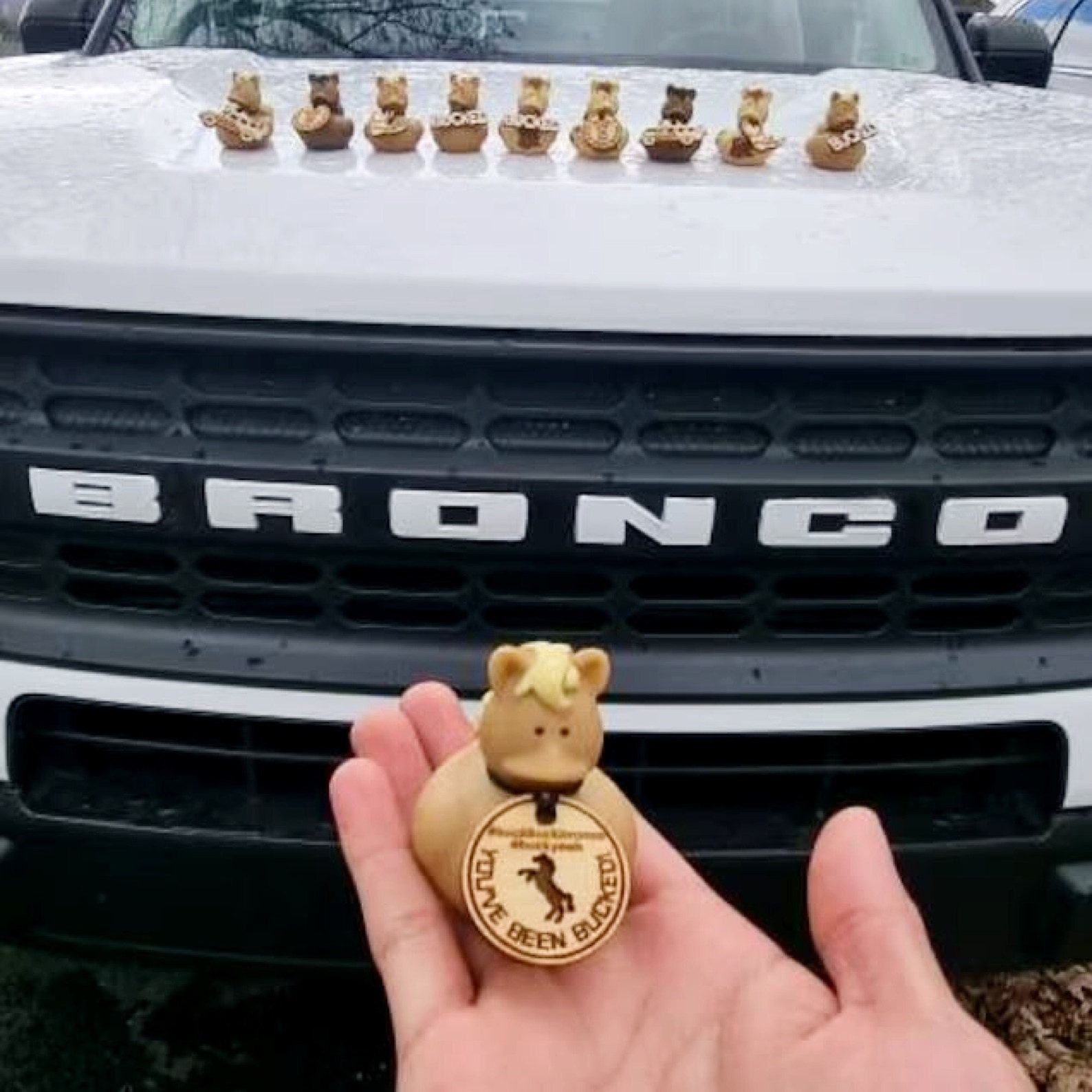 Buck Bronco Ducks Duck Tag for Bronco Rubber Horse Ducks Youve Been ...