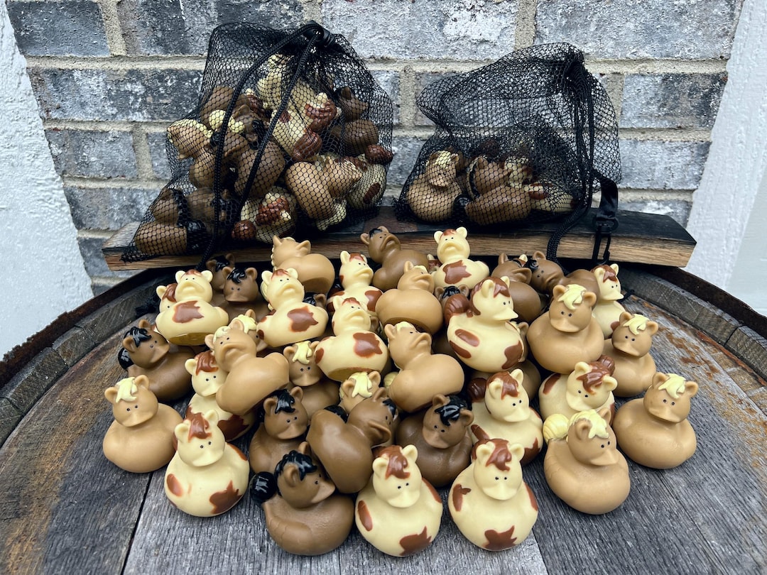 Bronco Accessories for Buck Buck Bronco Ducks Horse Ducks Rubber Horses ...