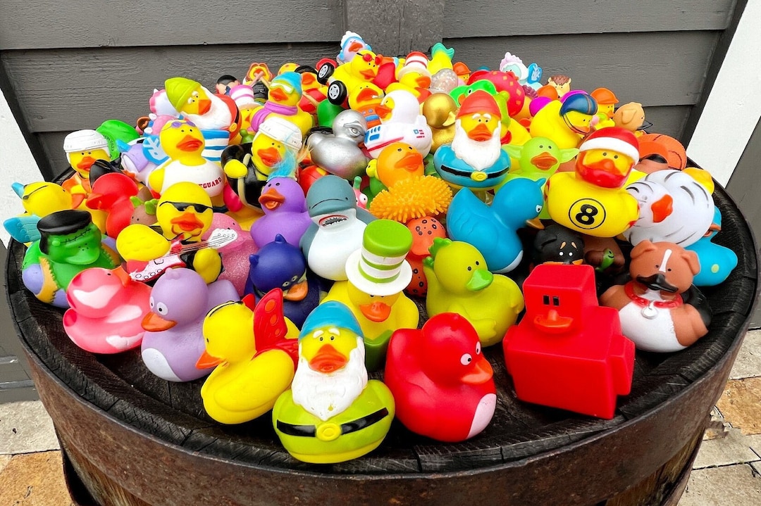 Buck Buck Bronco Accessories Ducks Youve Been Bucked Bronco Set Duck ...