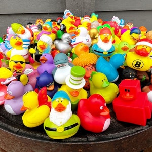 Bulk Rubber Ducks Bulk Rubber Duck Bulk Ducks for Ducking Bulk Duck for ...