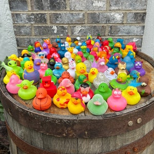 Bulk Buck Buck Bronco Ducks Rubber Ducks for Bronco Bulk Rubber Duck ...