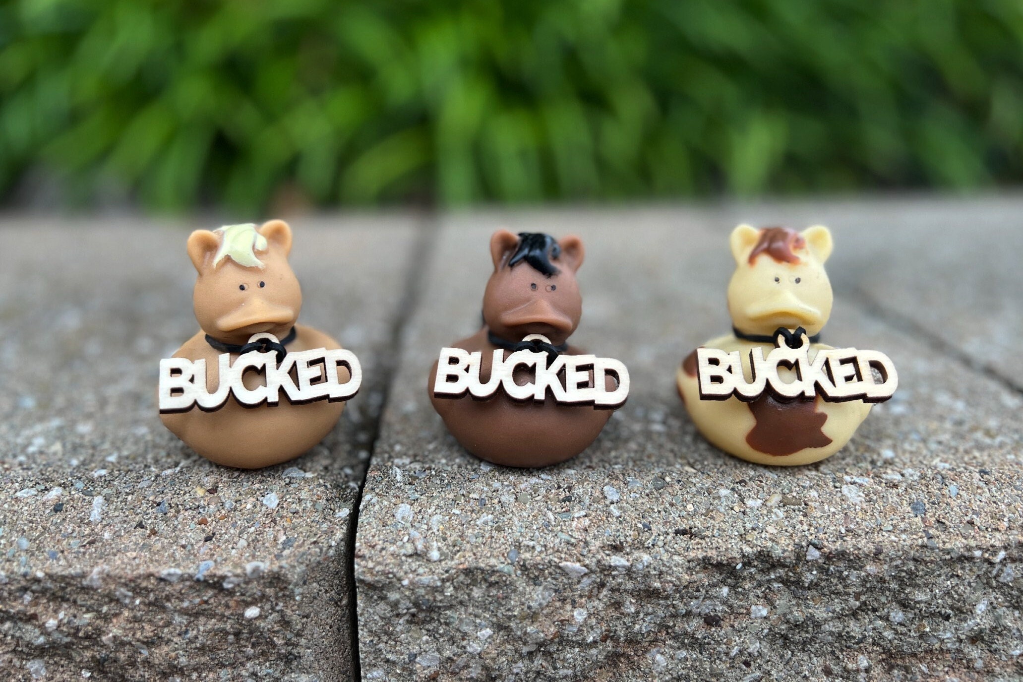 Youve Been Bucked Tags Buck Buck Bronco Tag Rubber Duck Tags for ...