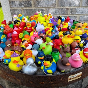 Bulk Rubber Ducks Bulk Rubber Duck Bulk Custom Duck Tag Custom Duck ...
