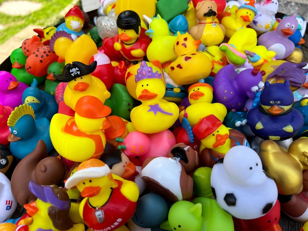 Bulk Cruise Ducks Bulk Cruise Duck Bulk Rubber Ducks Bulk Rubber Duck ...