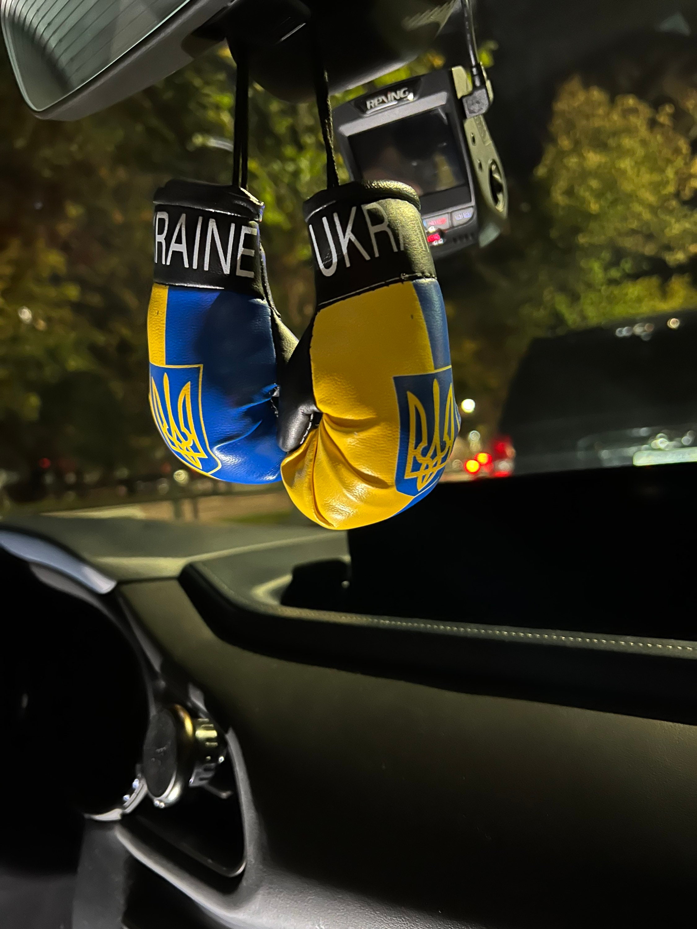 Ukrainian Boxing Gloves With Tryzub for Car/Українські боксерські ...