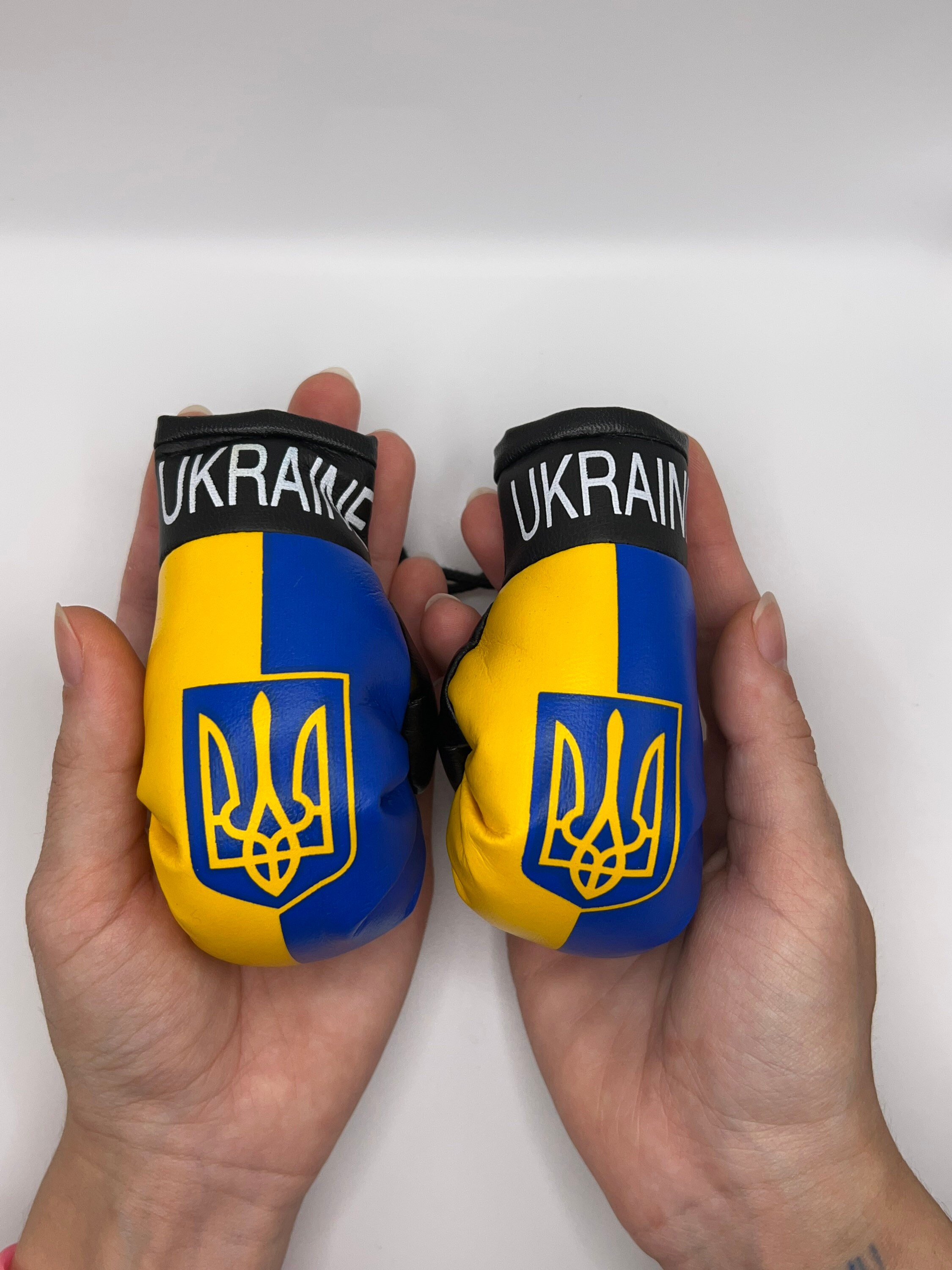 Ukrainian Boxing Gloves With Tryzub for Car/Українські боксерські ...