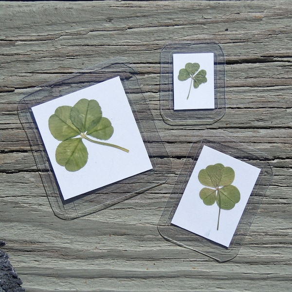 Real Four Leaf Clover Necklace - Etsy