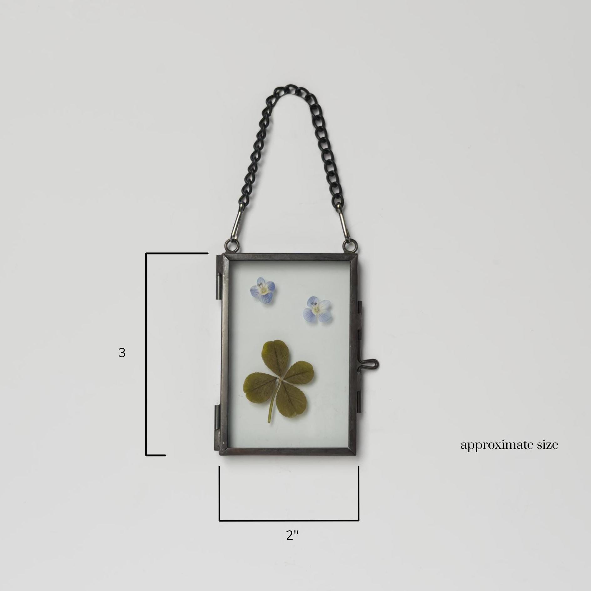 Real Four Leaf Clover Frame – Rectangle Brass Wall Decor - Etsy