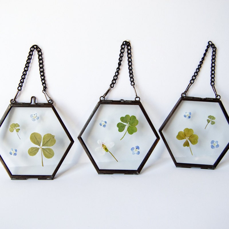 Clover Decor - Etsy