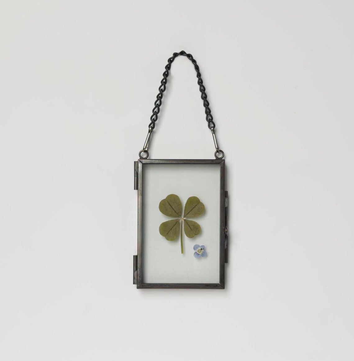 Real Four Leaf Clover Frame – Rectangle Brass Wall Decor - Etsy