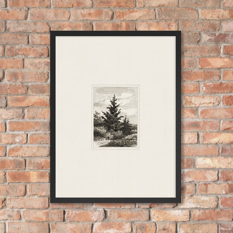 Vintage Etching Print Set of 3 Prints Forest Etchings - Etsy
