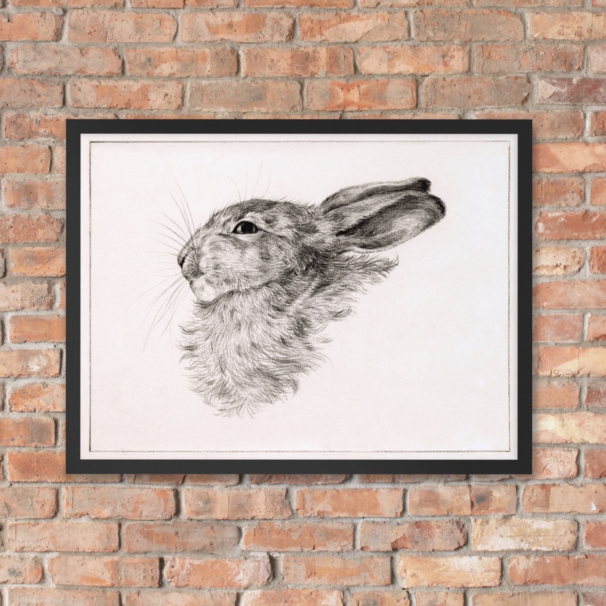 Vintage Rabbit Sketch Bunny Rabbit Drawing Antique Rabbit - Etsy