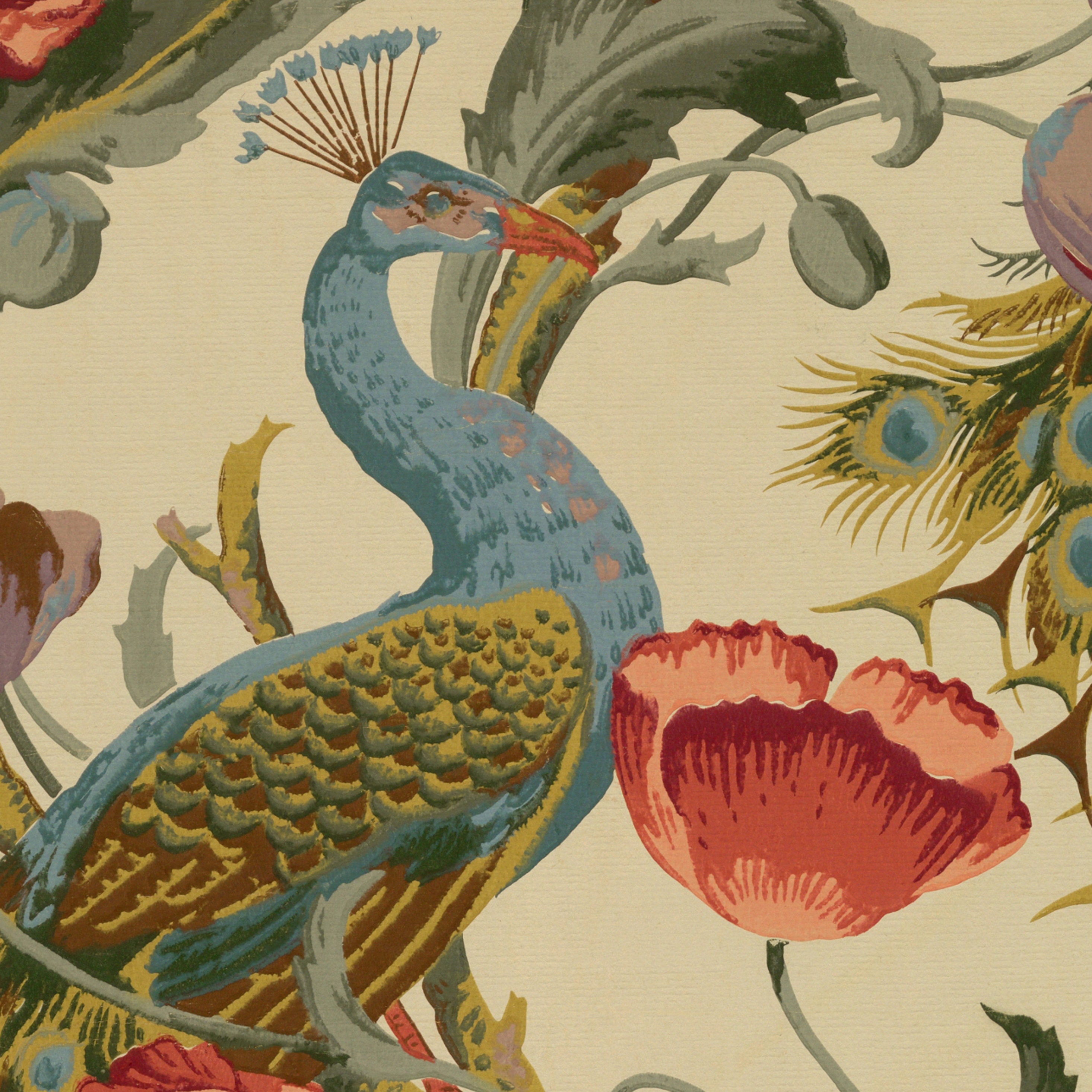 Vintage Peacock Wallpaper Print Peacock Art Print Antique Wallpaper ...