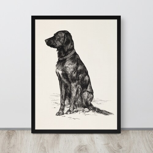 Black Labrador Art Print Vintage Dog Painting Antique Animal - Etsy