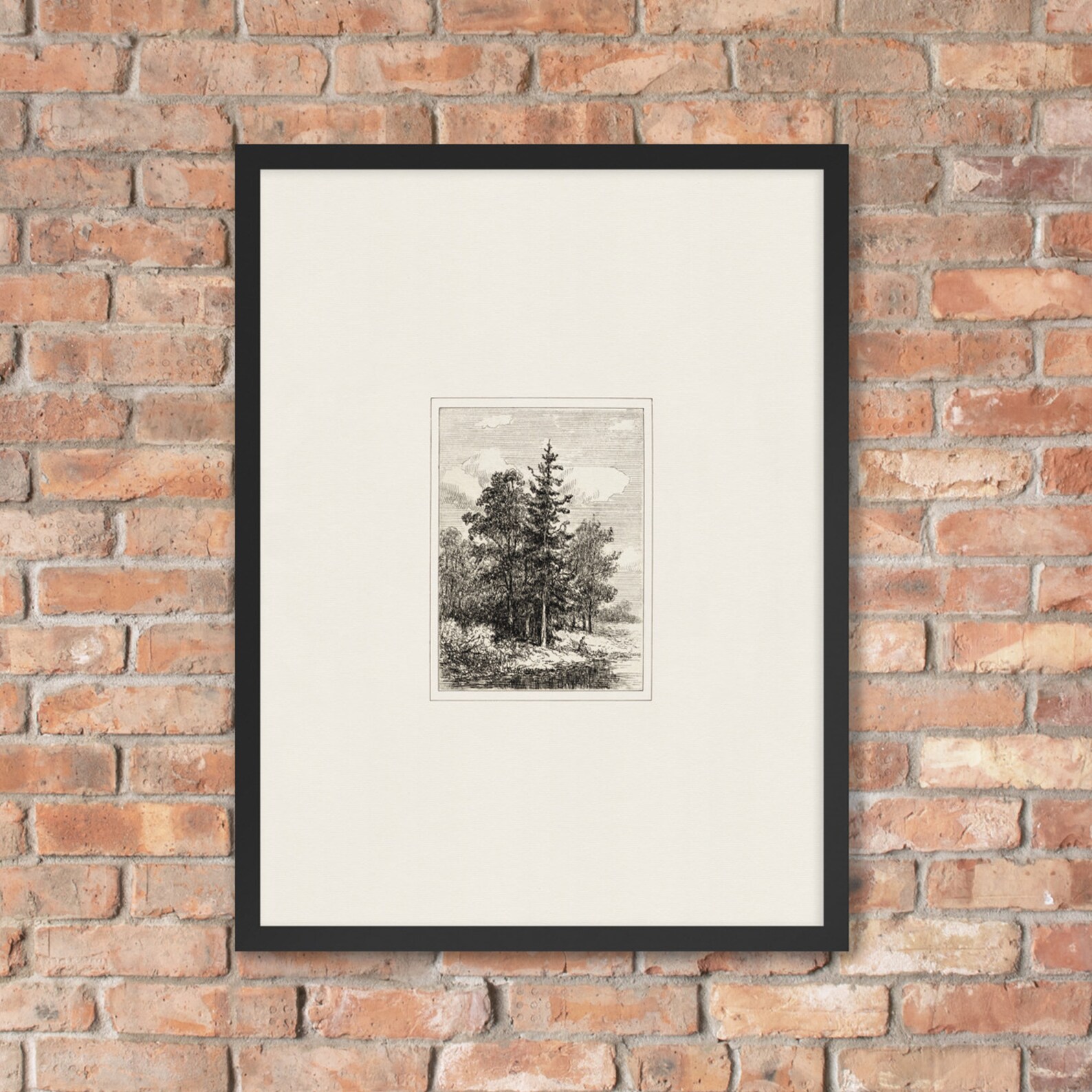 Vintage Etching Print Set of 3 Prints Forest Etchings - Etsy