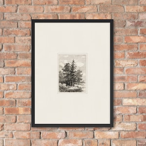 Vintage Etching Print Set of 3 Prints | Forest Etchings | Printable ...