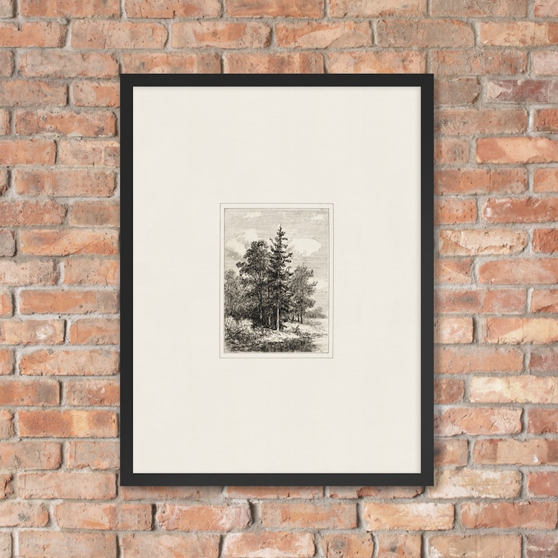 Vintage Etching Print Set of 3 Prints Forest Etchings - Etsy