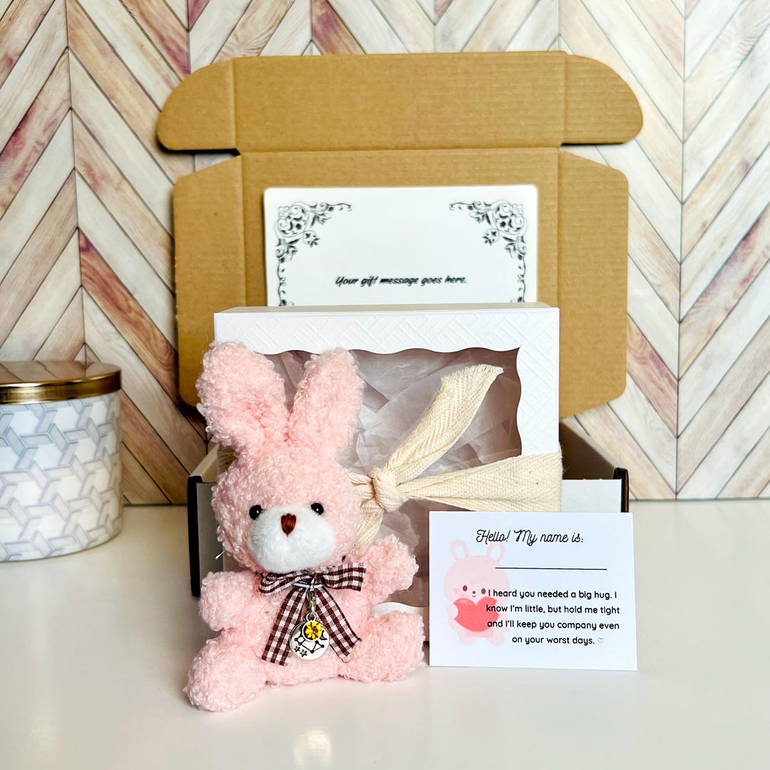 Pocket Hug Bunny Rabbit Comfort Care Package Plushie Birthstone ...