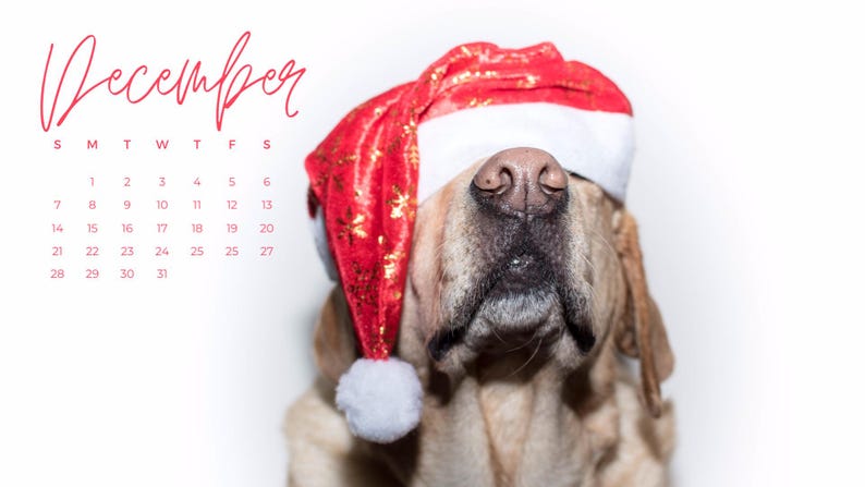 2025 Desktop Wallpaper Dogs for Computer - Etsy
