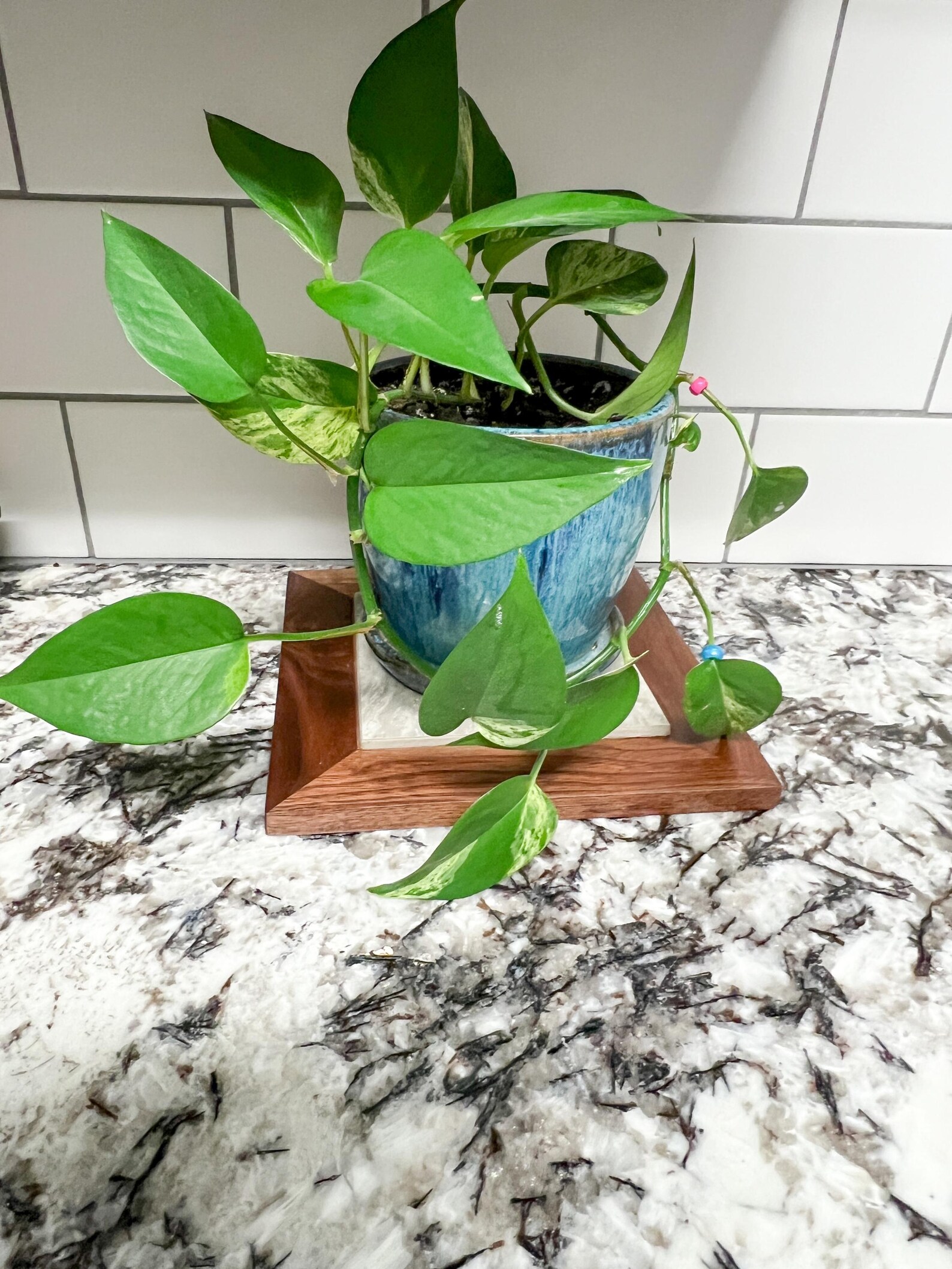 Tile Trivet | Trivet for Hot Pots | Wood and Ceramic Tile Trivet ...