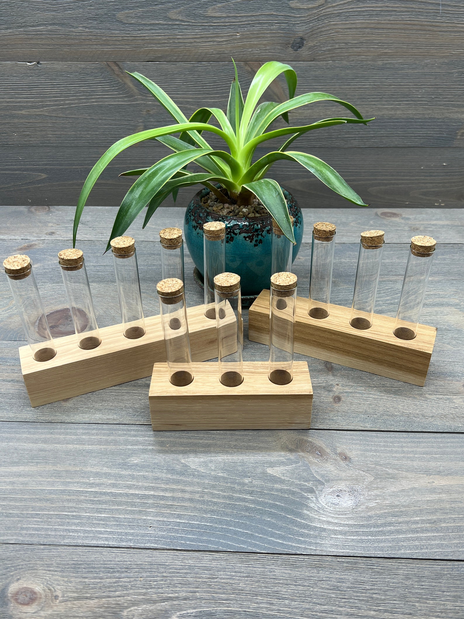 Glass Test Tube Vase Propagation Station Hydroponic Bud Vase Spice Rack ...