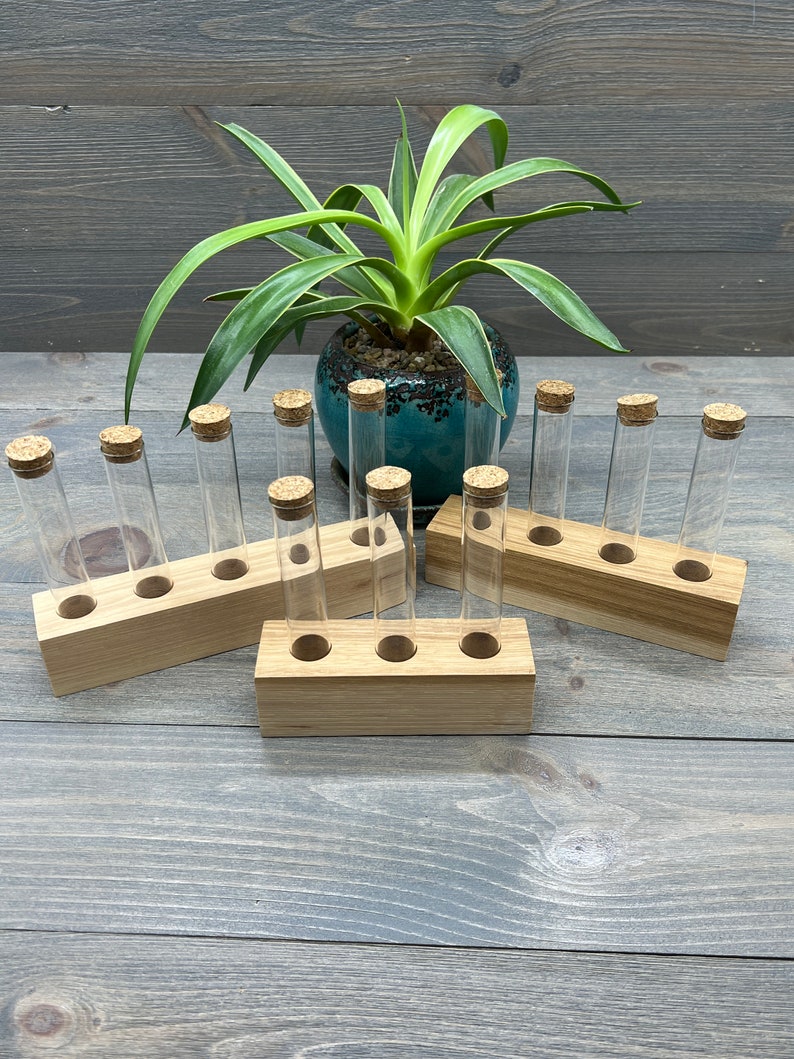 Glass Test Tube Vase | Propagation Station | Hydroponic Bud Vase ...