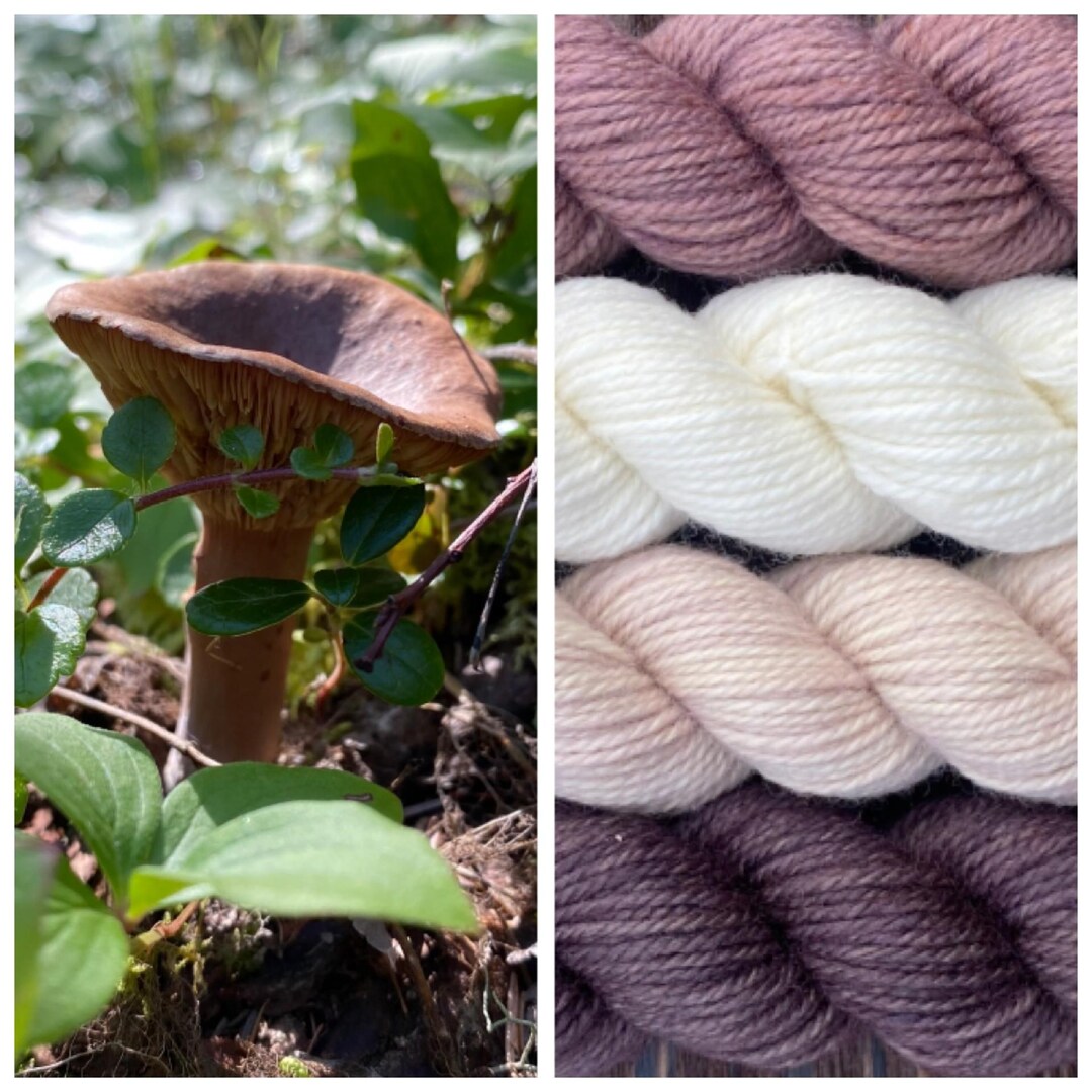 MKAL 17 Professor Fungi Gnome Mystery Knit Along Sarah Schira Imagined ...