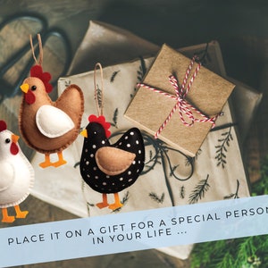 Felt Chicken, Hen or Rooster Animal Pattern: Create Adorable Decor ...