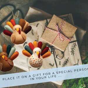 DIY Felt Turkey Pattern Versatile Thanksgiving Sewing Craft Project for ...
