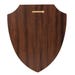 Shield Plaque Blank Cherry Finish Display Multiple Sizes for Engraving ...
