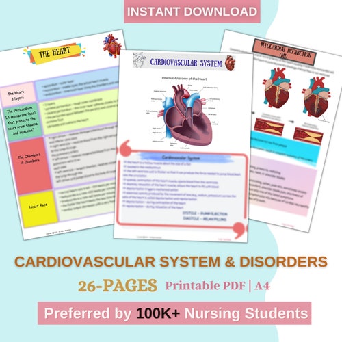 Cardiac Bundle Study Guide Nursing Notes for Med Surg With A & - Etsy